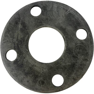 2" FPT x ANSI Flange Gasket