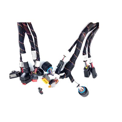 Gen3 LS - ECU Direct to 2 Product